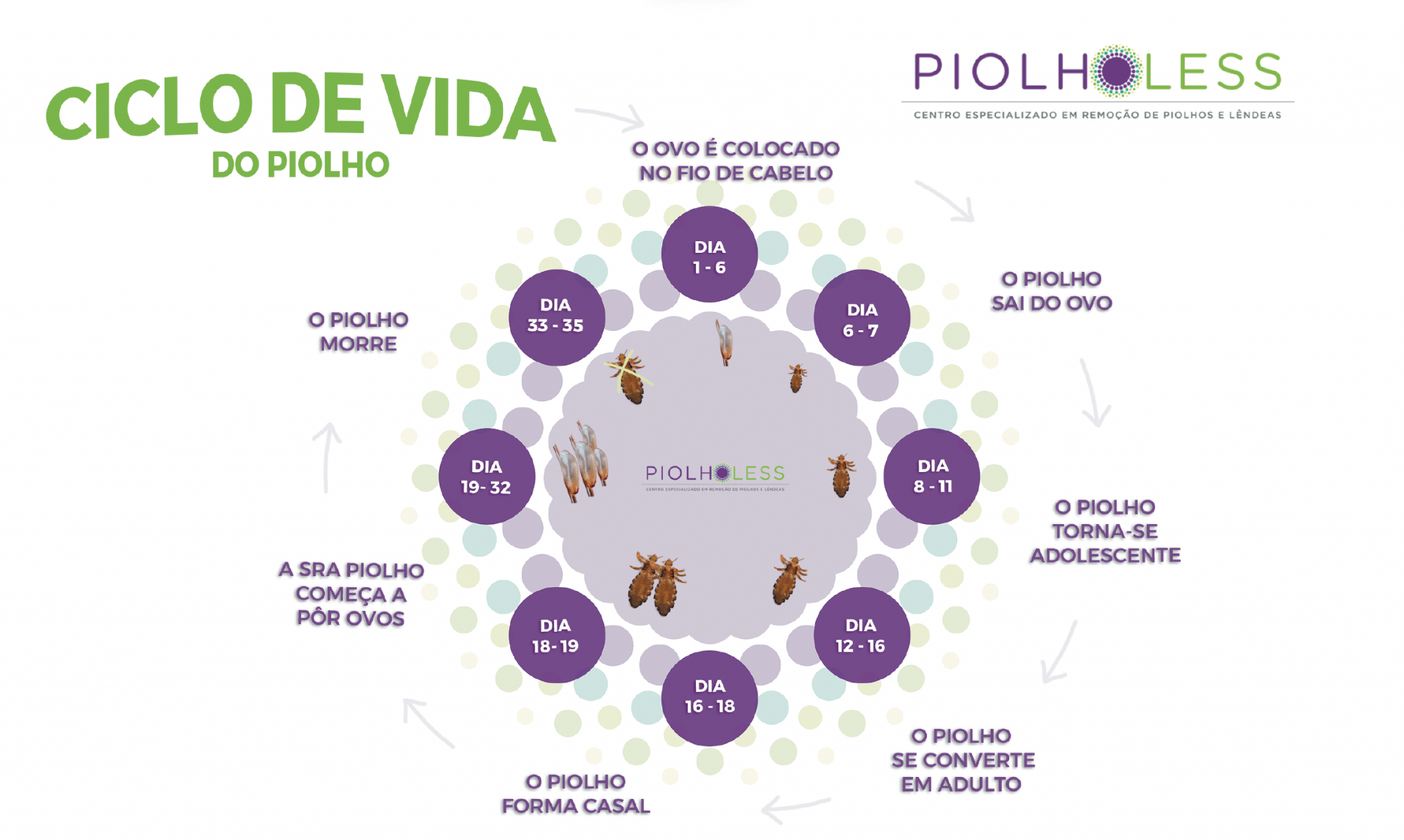 ⚠️Piolhos x Lêndeas: Tudo o Que Você Precisa Saber | PiolhoLess